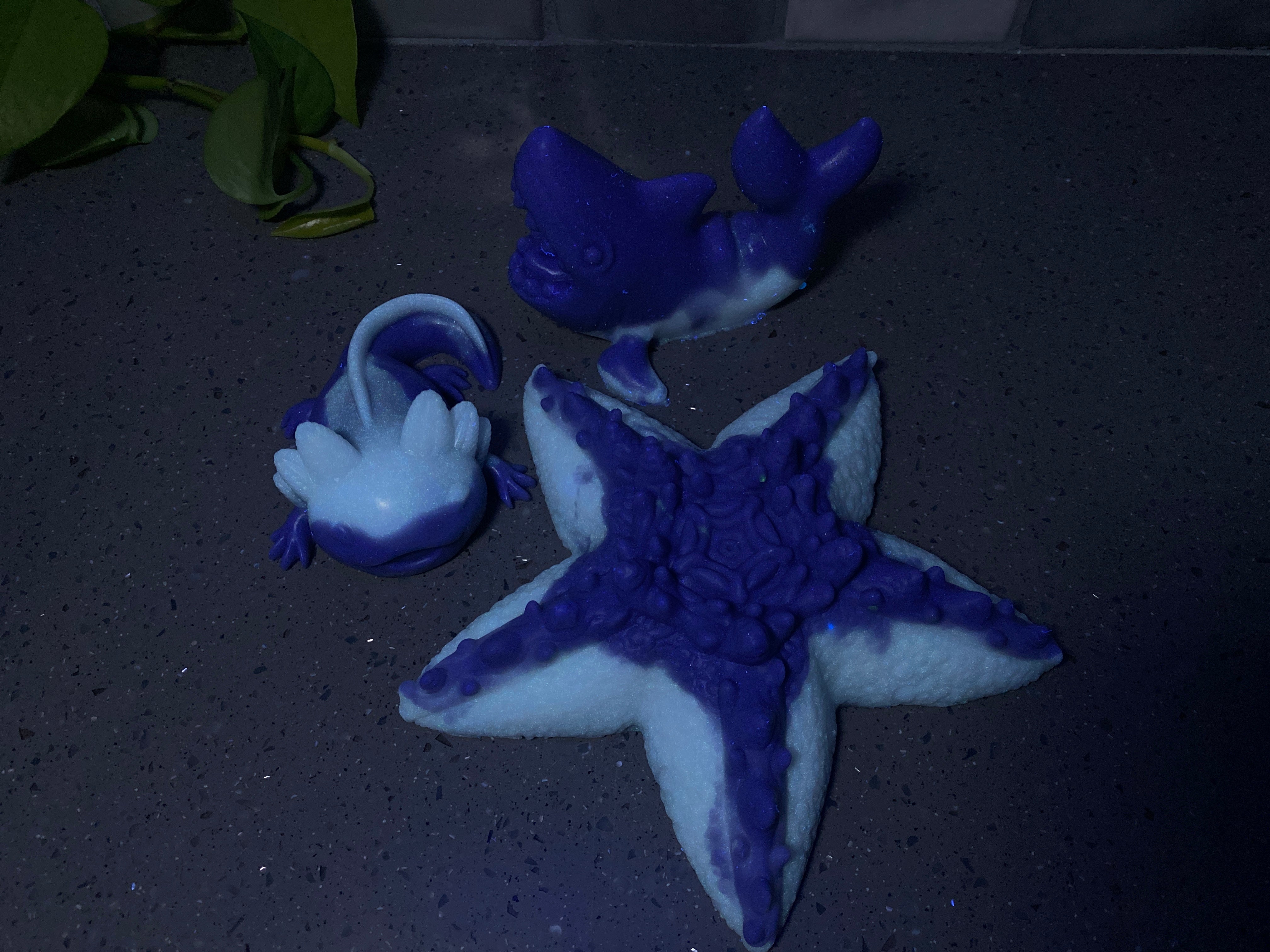 Grinders/Stim – Alchemist Echidna